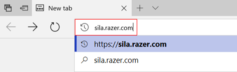 How to update the domain name system (DNS) on the Razer Sila